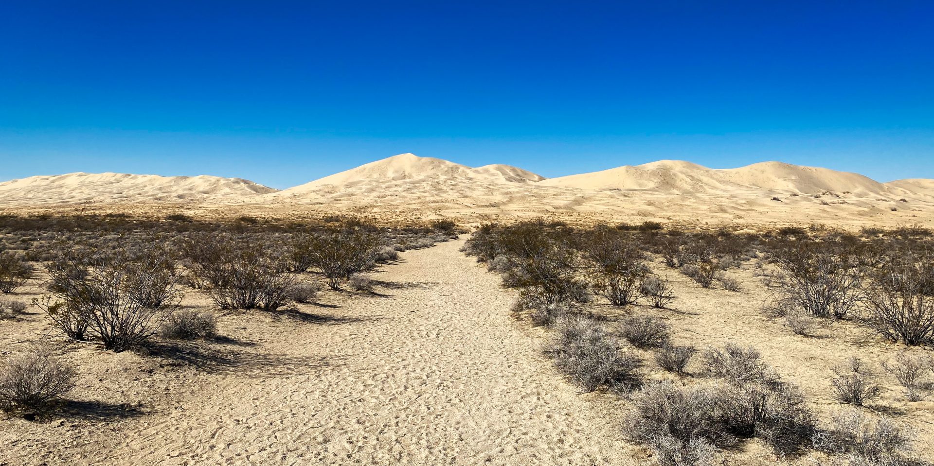 Desierto De Mojave En California